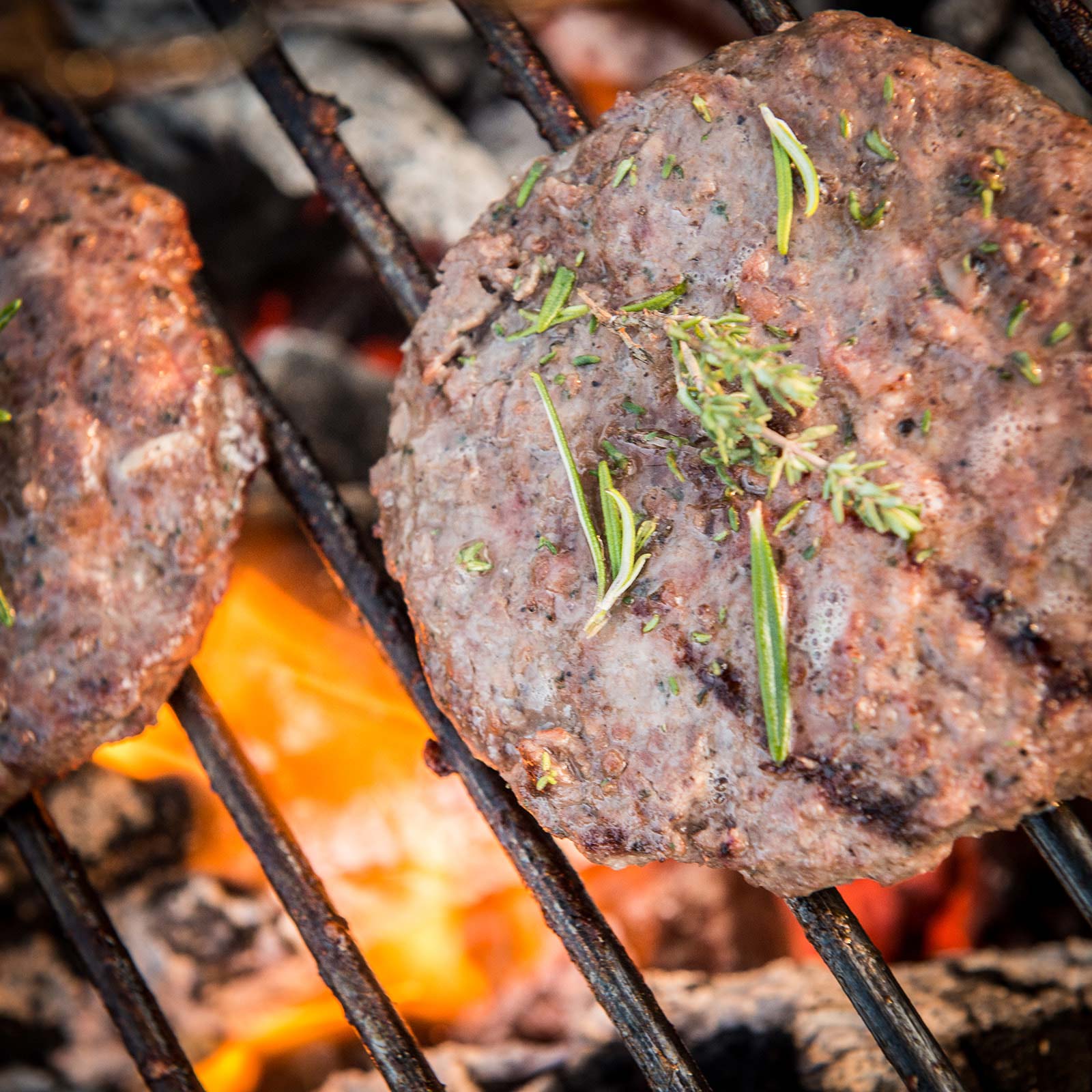 Wild Wood Pigeon Whole | Whole Wild Pigeon UK | Wood Pigeon Meat UK