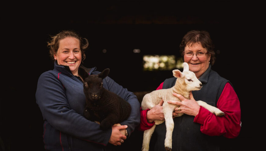 The Hinks Family - The Dorset Meat Company