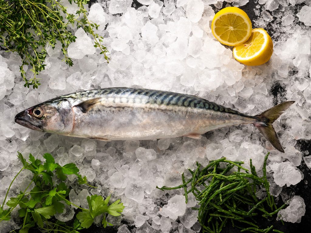 Fresh Whole Mackerel Delivered UK 300g-500g