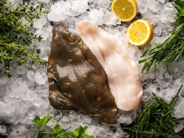 Dorset Fresh Fillets of Plaice (2 x 140g-170g) Delivered UK