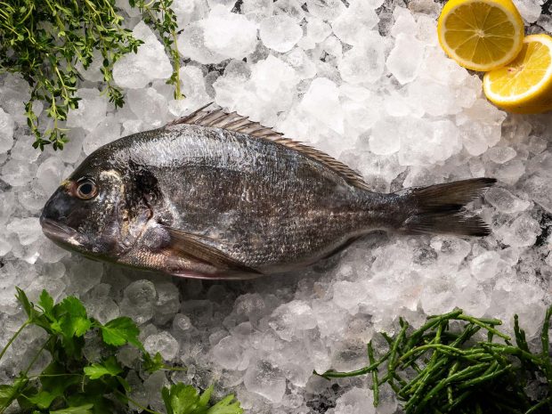 Sea Bream, Sustainably Farmed (1 x Whole Fish 300-400g) - The Dorset ...